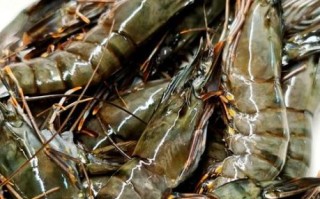 黑虎虾怎么做好吃_黑虎虾和基围虾区别