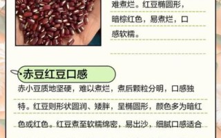 赤小豆长什么样_赤小豆与红豆区别 赤小豆长什么样_赤小豆与红豆区别