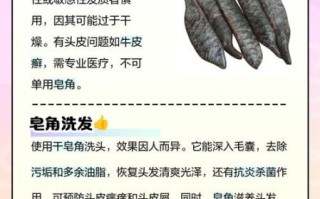 皂角怎么洗头_皂角洗头最简单的方法