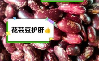 花芸豆的功效与作用_花芸豆怎么做好吃