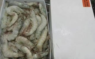 青虾价格多少钱一斤_青虾批发价和零售价差多少