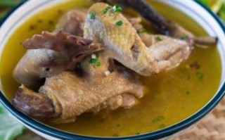 野鸡怎么清炖_野鸡清炖汤的做法