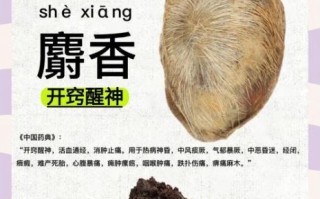 麝香的功效与害处_麝香对孕妇有哪些影响 麝香的功效与害处_麝香对孕妇有哪些影响