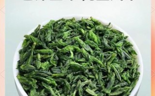 苦丁茶有几种_苦丁茶图片大全