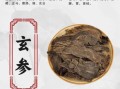 玄参的功效与作用有哪些_玄参主治什么病