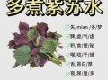 紫苏怎么保存_紫苏的家常吃法有哪些