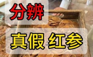 红参图片大全大图_如何辨别真假红参