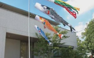 鲤鱼旗是中国的吗_起源与中日文化差异