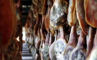 火腿火腿完整版百度网盘_如何安全高速下载