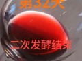 自制葡萄酒泡几天可以喝_第一次发酵多久能过滤