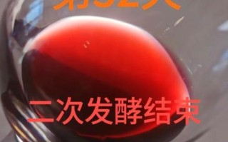 自制葡萄酒泡几天可以喝_第一次发酵多久能过滤