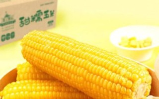 黄金玉米带在哪里_黄金玉米带的气候条件