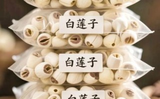 莲子可以泡水喝吗_莲子泡水喝的正确方法