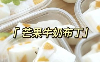 纯牛奶布丁怎么做_布丁凝固技巧