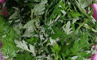 艾草青团的功效与作用_艾草青团吃了会上火吗