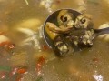鳝鱼炖什么汤最营养_鳝鱼炖汤加什么食材好