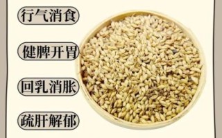 喝了三天麦芽水回奶了怎么办_麦芽水回奶后如何补救