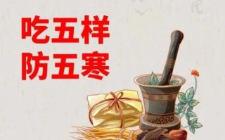 立冬进补吃什么药膳_立冬药膳推荐