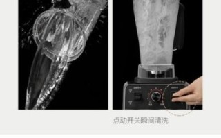 沙冰怎么做_家用破壁机做沙冰步骤