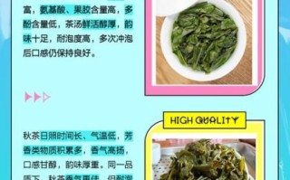 铁观音春茶好还是秋茶好_哪个更香更耐泡
