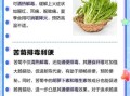 苦菊的营养价值_苦菊怎么吃最健康