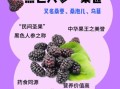 桑葚壮阳明显吗_桑葚怎么吃最补肾
