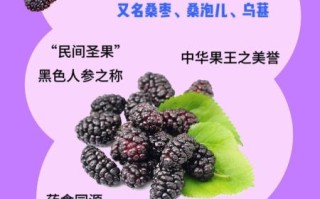 桑葚壮阳明显吗_桑葚怎么吃最补肾