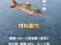 鲤鱼饵料怎么搭配_鲤鱼饵料配方推荐