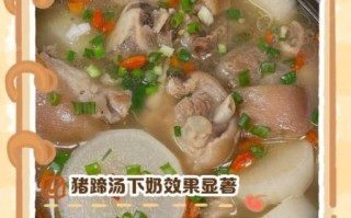 月子猪蹄下奶汤怎么做_猪蹄汤下奶的正确做法