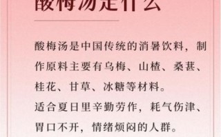 酸梅汤的功效与禁忌_什么人不能喝酸梅汤