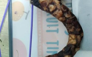 火腿怎么腌制_火腿风干多久才香