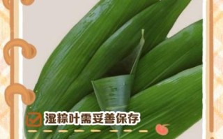粽叶怎么煮能保持绿色_粽叶煮多久不变黄