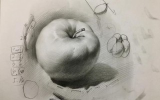 苹果盘子素描怎么画_苹果素描用什么铅笔