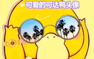 可达鸭为什么这么火_可达鸭表情包哪里找
