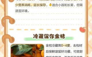 小金桔怎么保存_小金桔能放多久