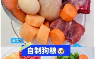 自制狗粮配方怎么做_狗狗长期吃会缺营养吗