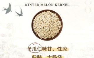 冬瓜仁图片长什么样_冬瓜仁真假辨别方法