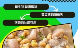 下奶猪蹄汤炖多长时间_猪蹄汤炖多久下奶最好