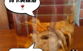 玛卡泡酒配方大全_玛卡泡酒用什么酒最好