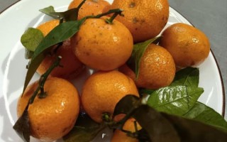 豆瓣酱豆腐怎么做_家常豆瓣酱豆腐的做法