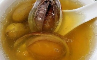 鲍鱼汤怎么炖不腥_鲍鱼汤做法大全家常
