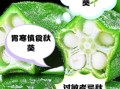 秋葵不适宜什么人吃_哪些人群要少吃秋葵