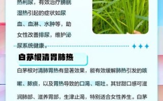 茅根水的功效与作用_茅根水适合什么人喝