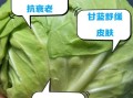 青甘蓝的营养价值_青甘蓝怎么吃最健康