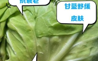 青甘蓝的营养价值_青甘蓝怎么吃最健康
