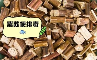 紫苏晒干后有什么作用_紫苏叶晒干后怎么保存