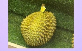 哺乳期可以吃榴莲吗_哺乳期吃榴莲的注意事项