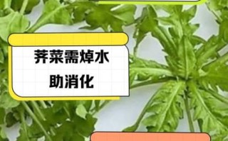 荠菜煮水有什么禁忌_荠菜煮水哪些人不能喝