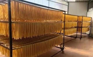 手工腐竹机多少钱一台_家用小型腐竹机怎么选