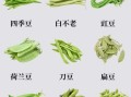 姜豆怎么种_姜豆和黄豆区别